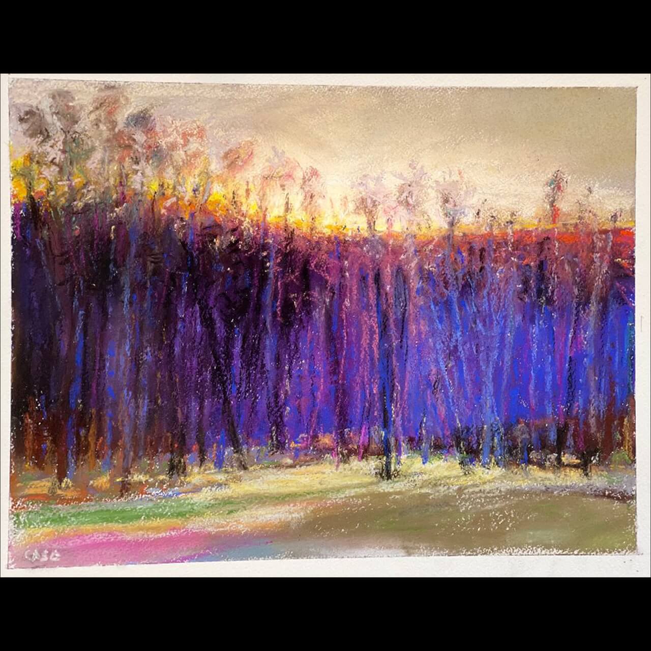 Randall Case - Summer of the Arts