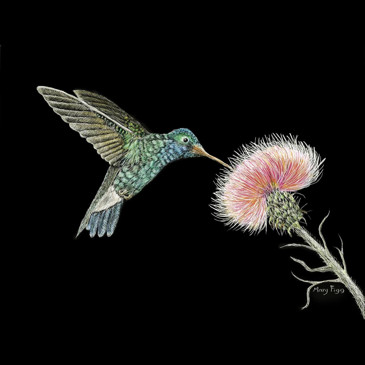 Mary Figg - Summer of the Arts