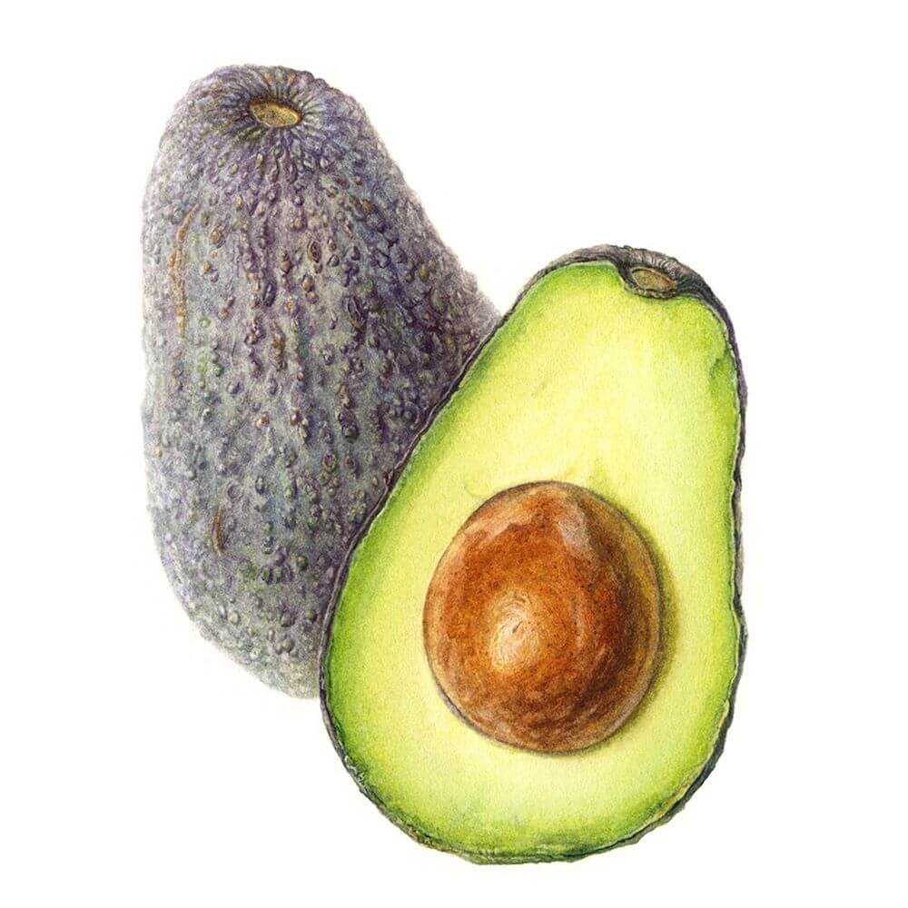 2025 Iowa Arts Festival - Summer of the Arts