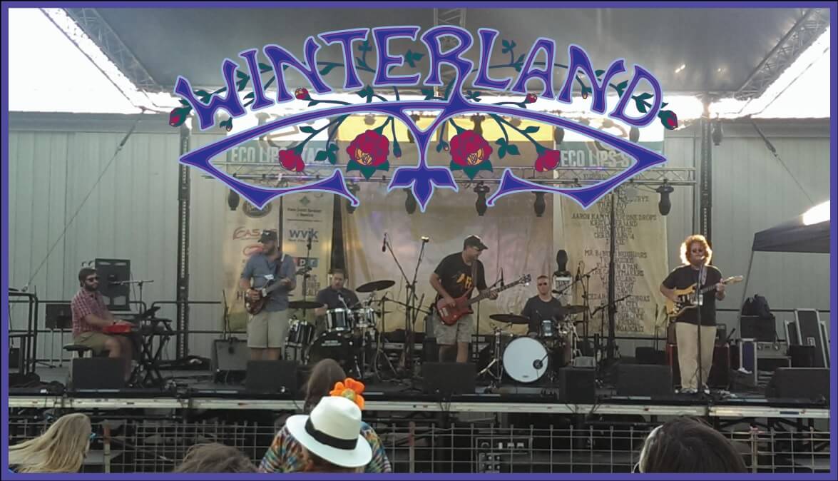 Winterland | Summer of the Arts